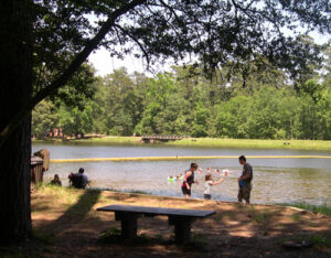 14 Best Houston Area Swimming Holes - Texas Wanderers