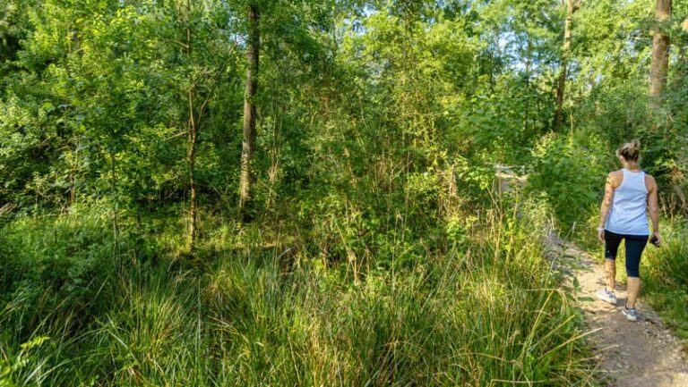 10 Prettiest Houston Hiking Trails And Nature Walks To Enjoy This Fall ...