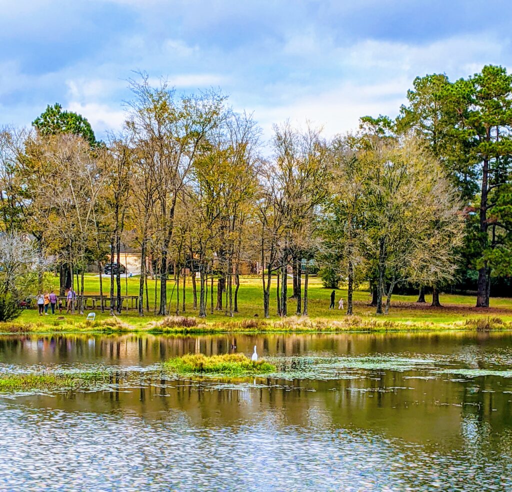 10 Prettiest Houston Hiking Trails And Nature Walks To Enjoy This Fall ...